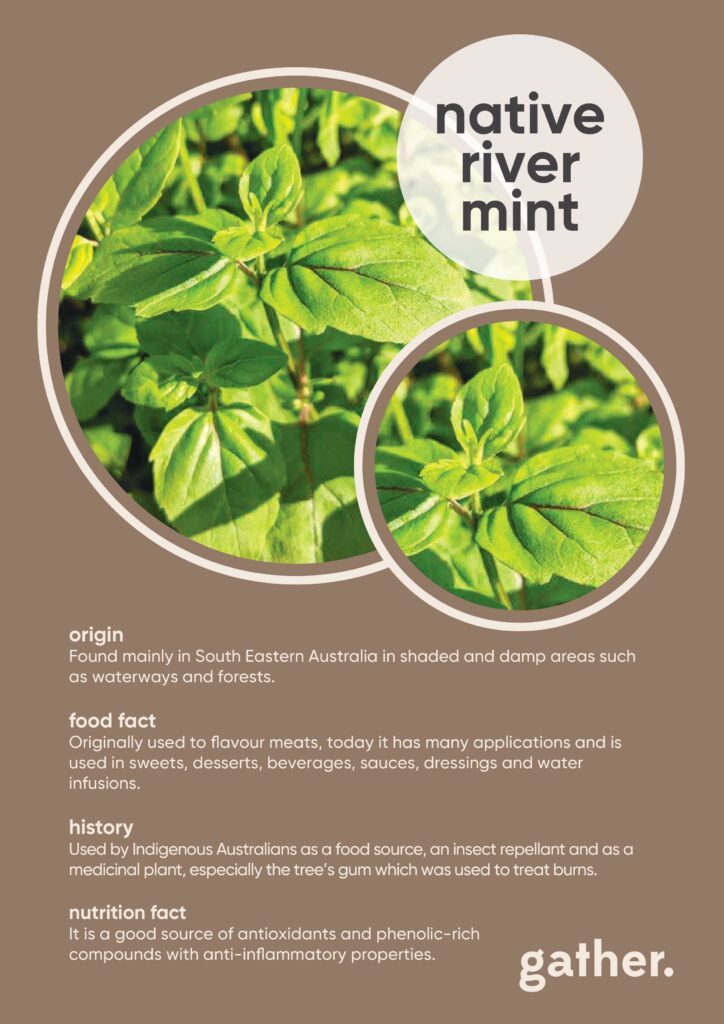 The Magic and Allure of Native Ingredients