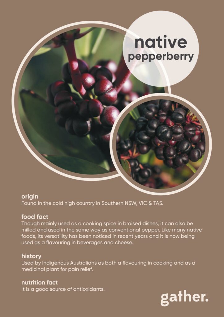 The Magic and Allure of Native Ingredients